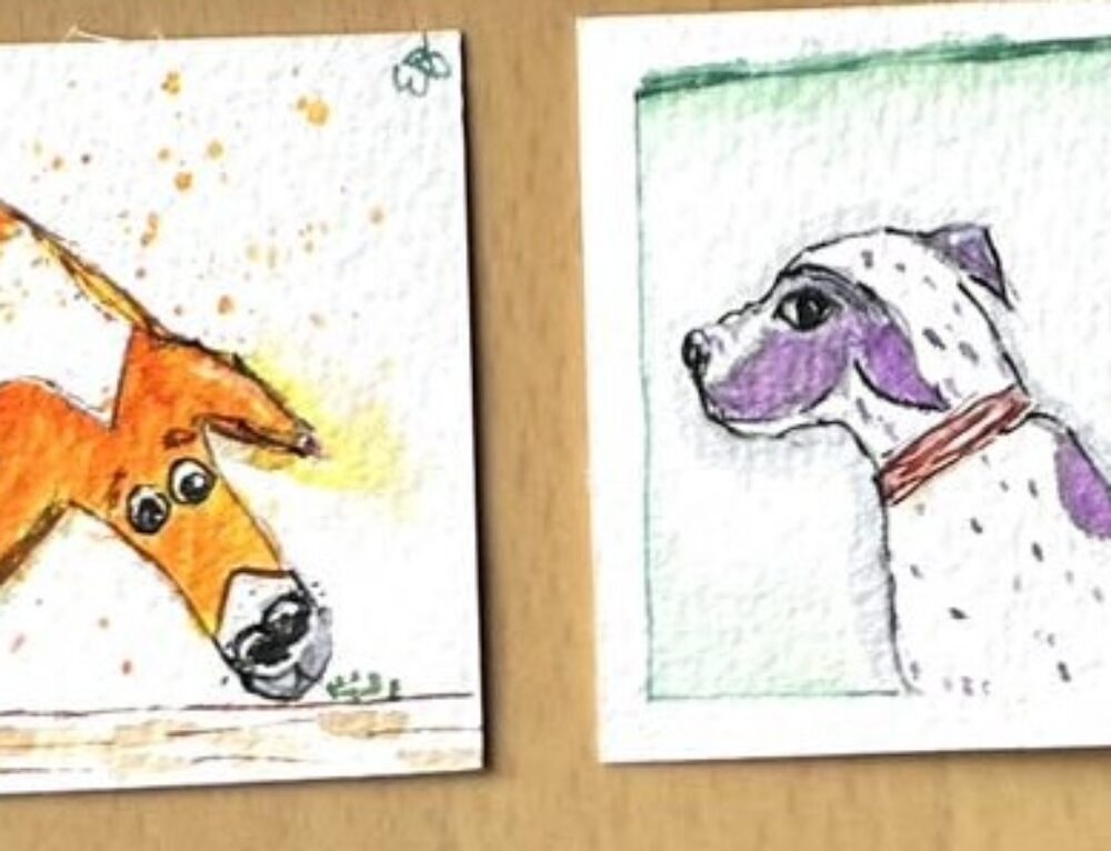 HM305 Beyond Words Communicating with Animals with Ellie Laks ...